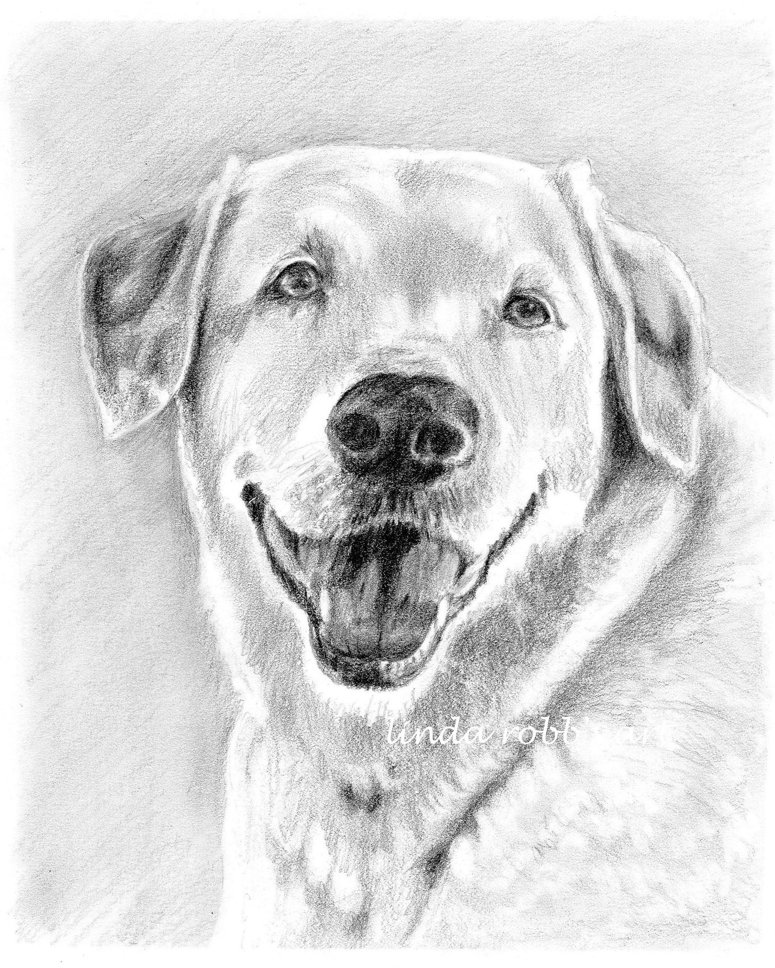Custom Graphite Pencil Pet Portrait 8 X 10 - Etsy