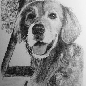 Custom Dog Pet Portrait Graphite Pencil 8x10 - Etsy