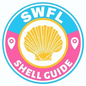 SWFLShellGuide - Etsy