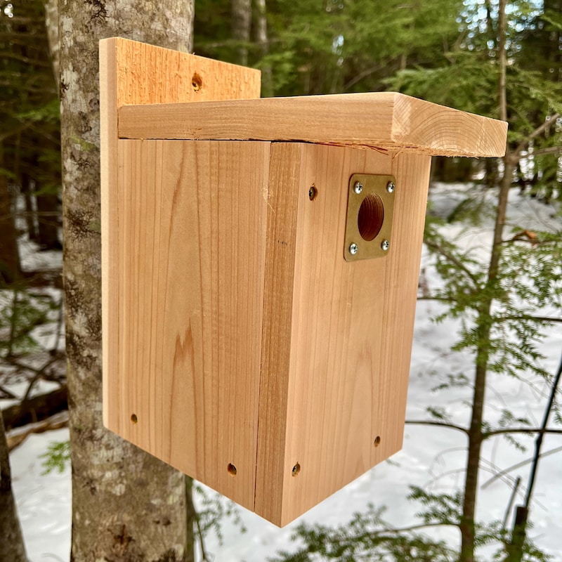 Chickadee Bird House - Etsy