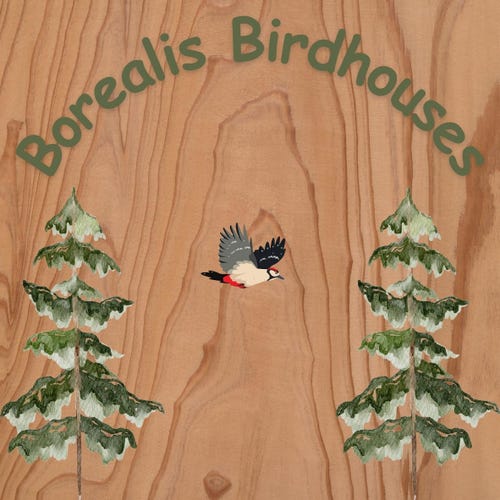 BorealisBirdhouses - Etsy