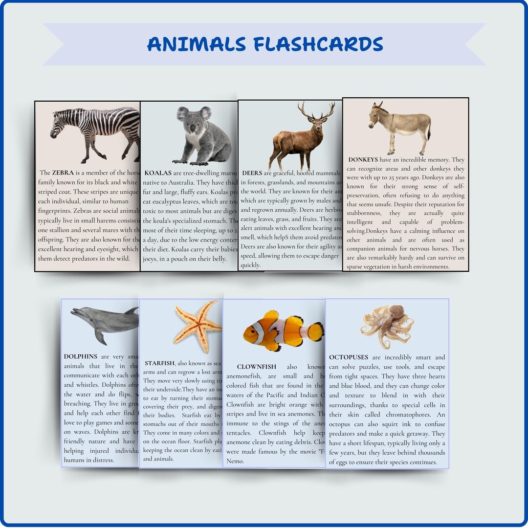 Animal and Sea Life Flashcards, 44 Real Photos With Fun Facts ...