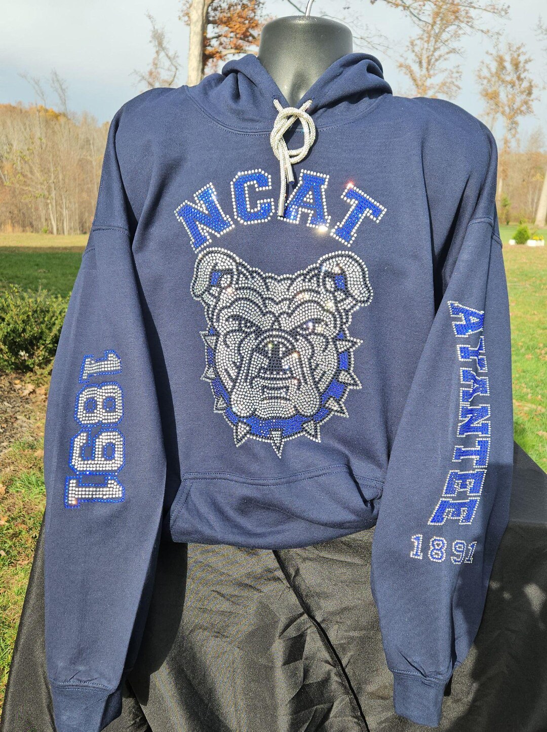 North Carolina A&T University, NCAT, Aggie Pride - Etsy