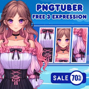 Custom Pngtuber Model | Anime Pngtuber Avatar Commission | Streamer PNG ...