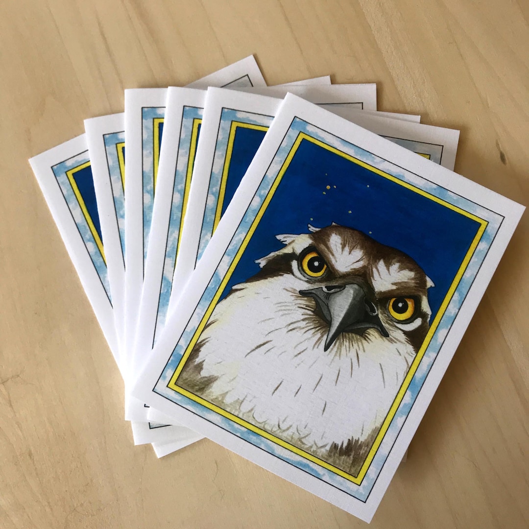 6 Osprey Blank Cards - Etsy