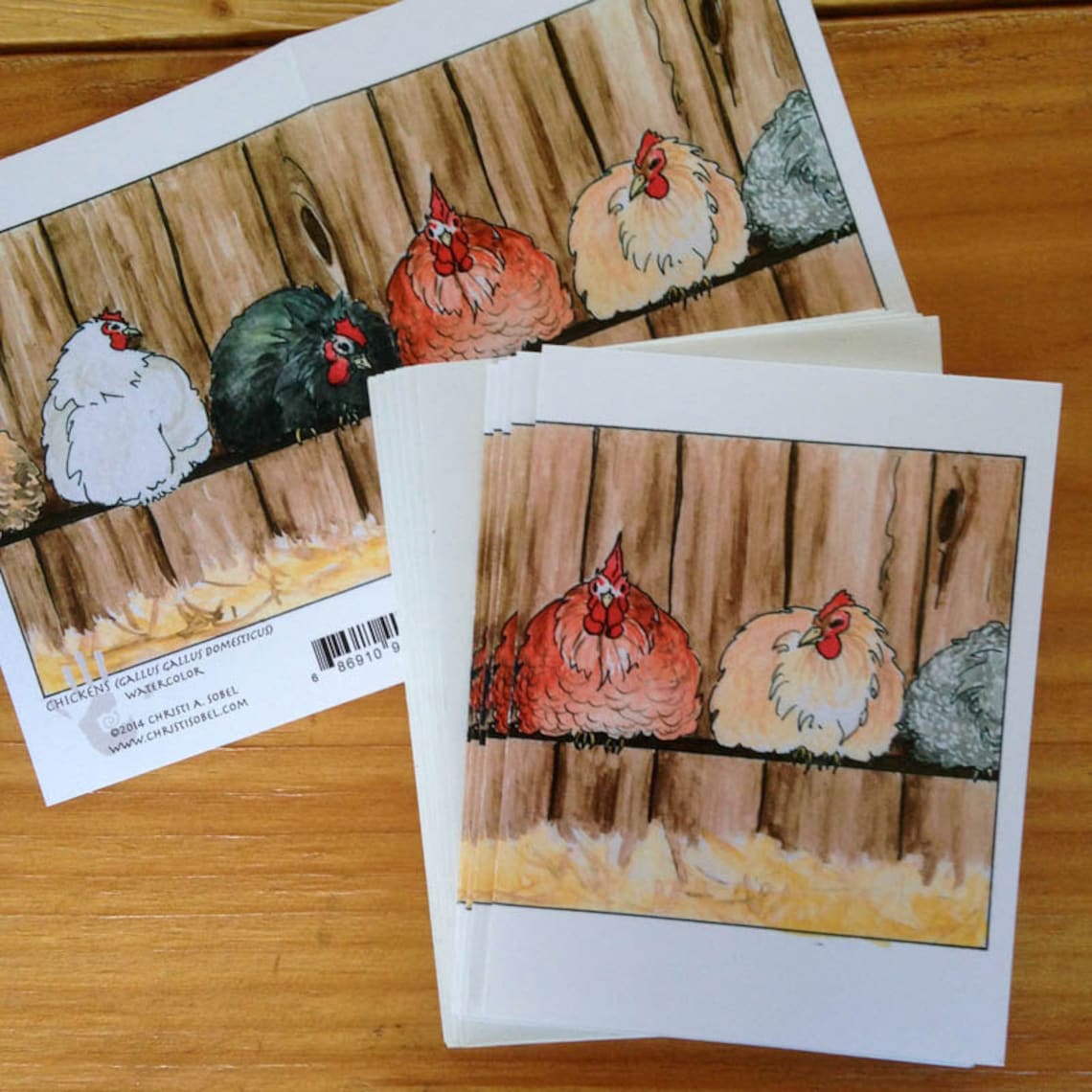 6 Chicken Cards - Etsy