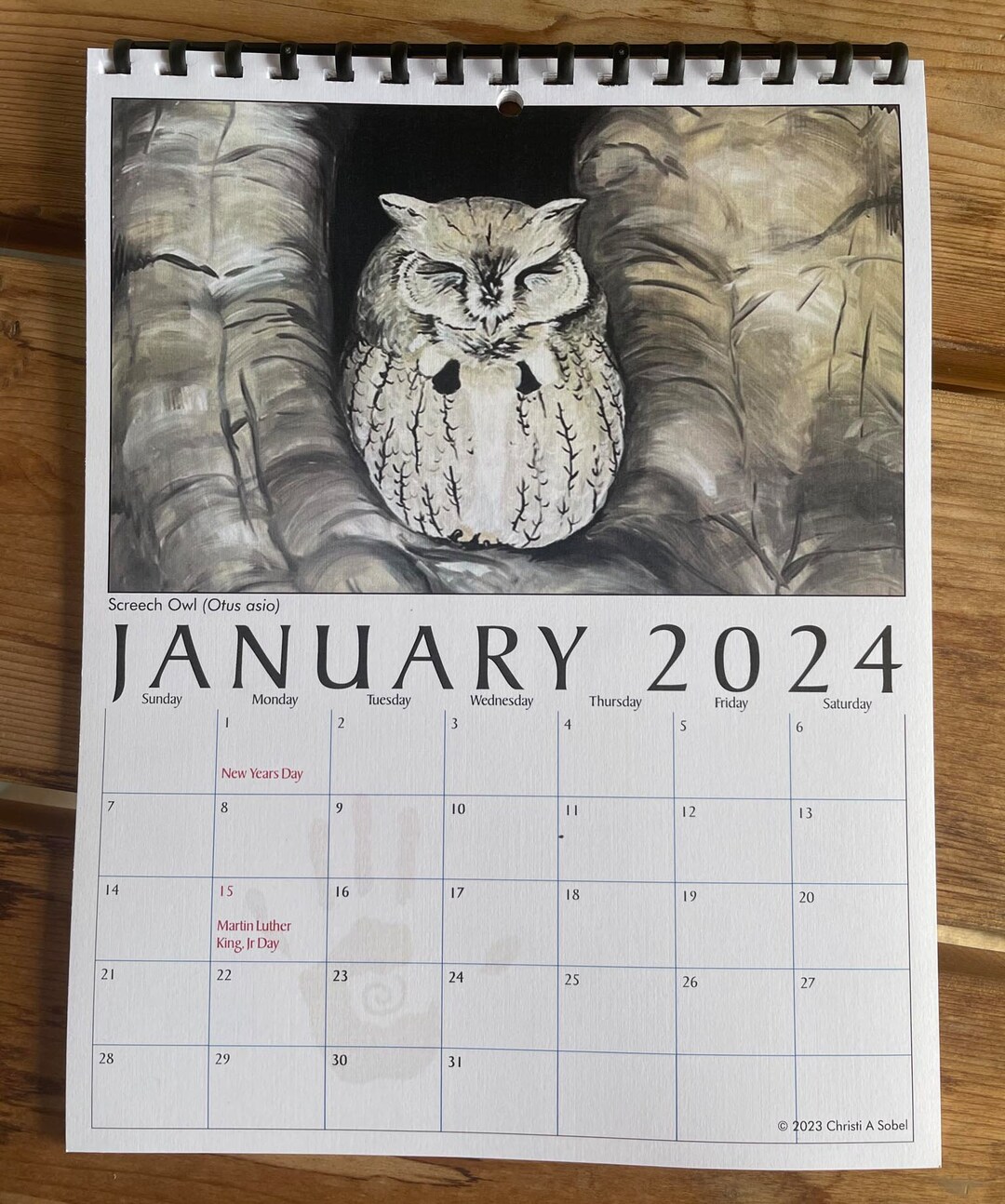 SALE 2024 Wall Calendar Finger Lakes Birds by Christi Sobel - Etsy
