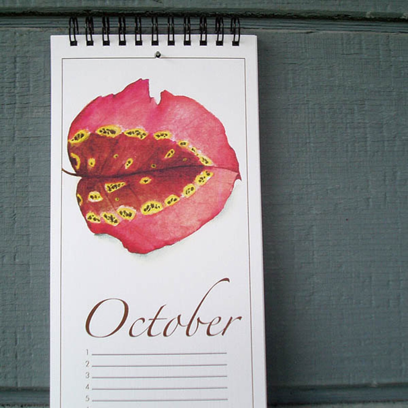 Perpetual Birthday Wall Calendar – Flowers and Plants - Etsy