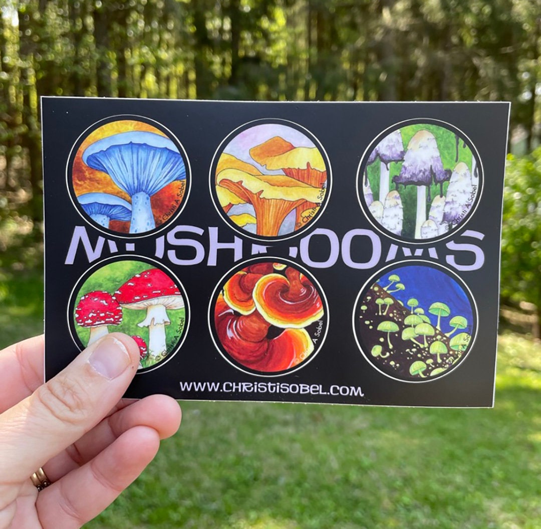 Mushroom Sticker Sheet - 6 Colorful Mushroom Stickers - Etsy