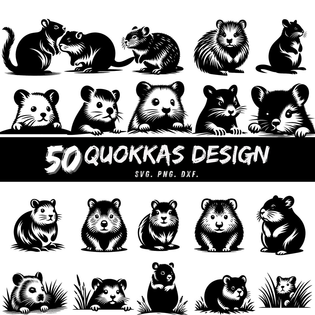 Quokka SVG Bundle, Cute Quokka Clipart, Australian Animal PNG, Quokka ...