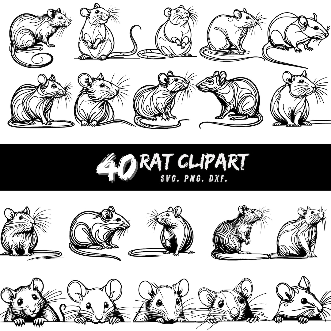 40 Rat Clipart Bundle, Rat SVG PNG DXF, Cute Mouse Vector, Digital Rat ...