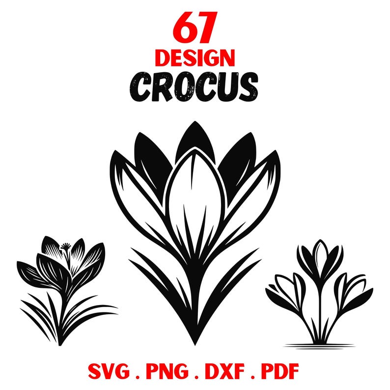 Crocus Flower SVG, Crocus Png, Winter Flower Cut File, Digital Download ...