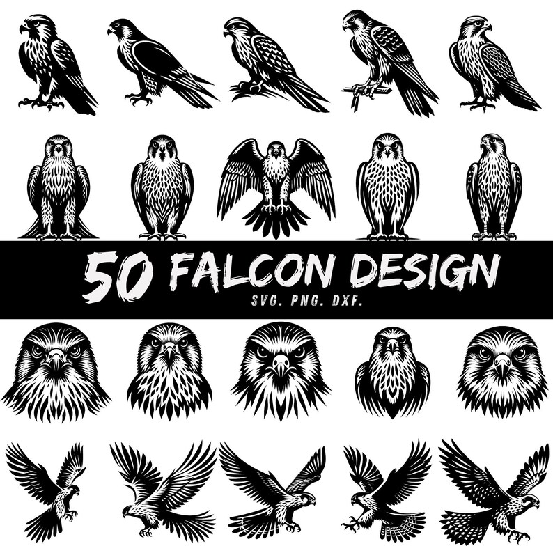 50 Falcon SVG Bundle, Hawk PNG DXF Clipart, Eagle Bird Vector, Flying ...
