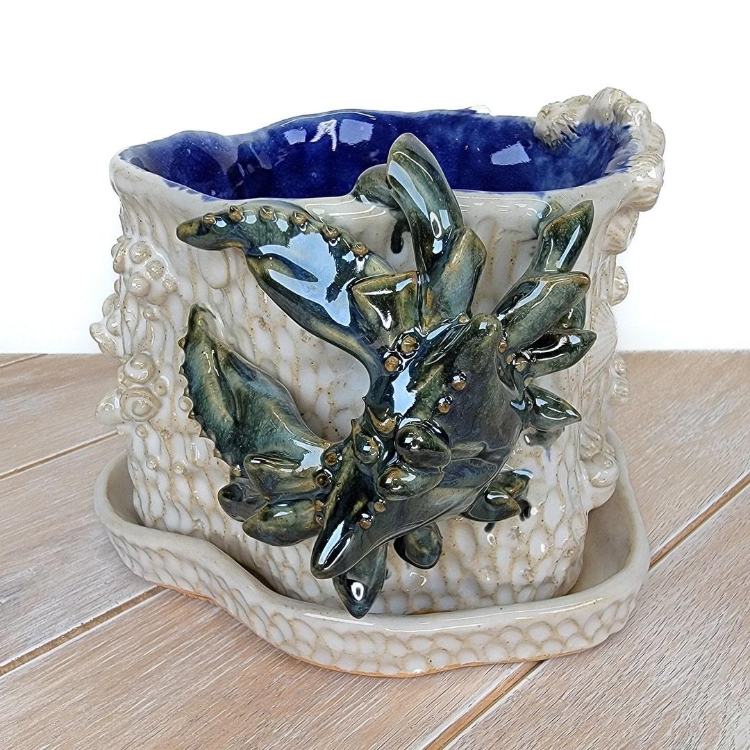 Ceramic Planter Succulent Cacti Stoneware Pottery Sealife Crustacean ...