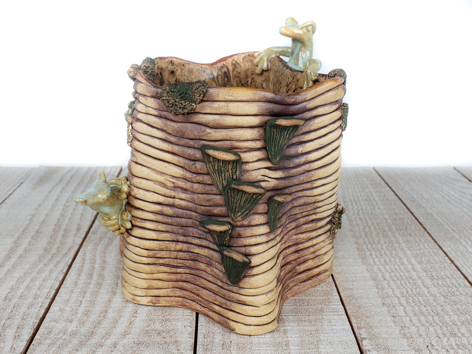 Green Frog Tree Trunk Ceramic Coil Planter Decor Cactus | Etsy