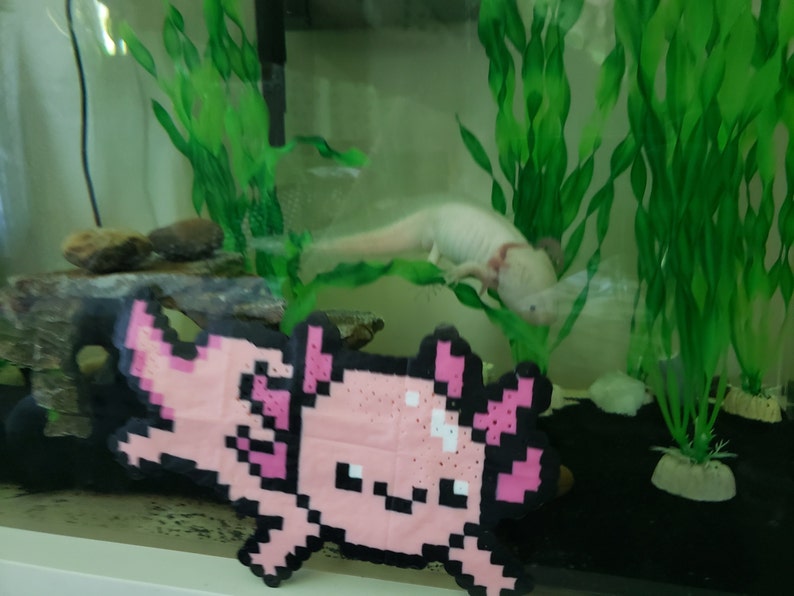 Digital Pattern Axolotl Perler Bead Pattern - Etsy