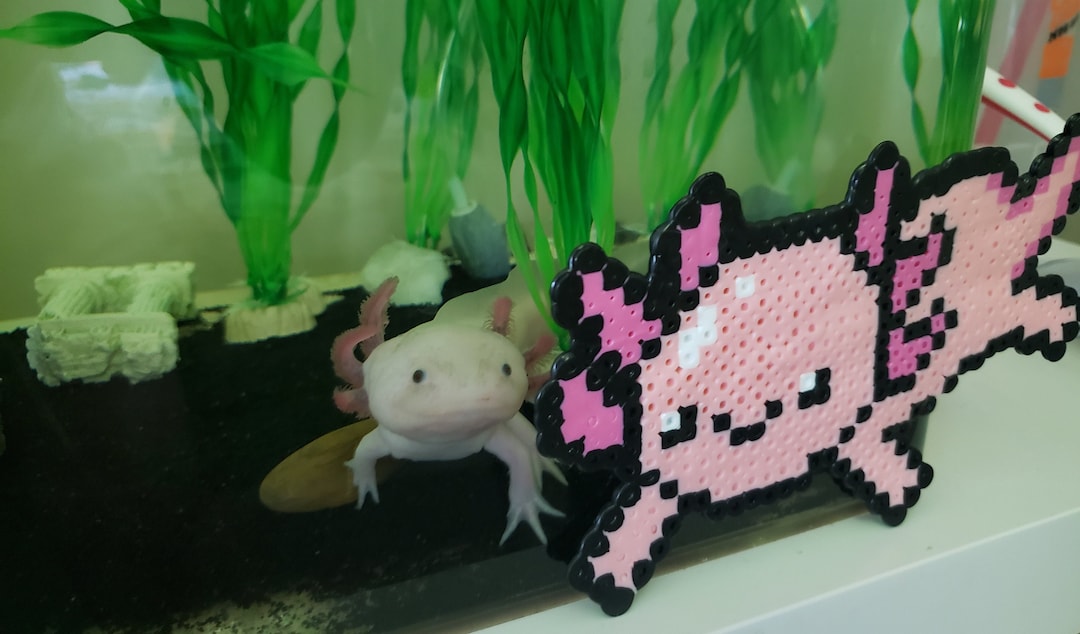 Digital Pattern - Axolotl Perler Bead Pattern - Etsy