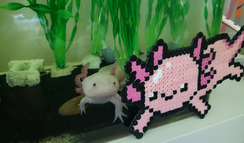 Digital Pattern Axolotl Perler Bead Pattern - Etsy