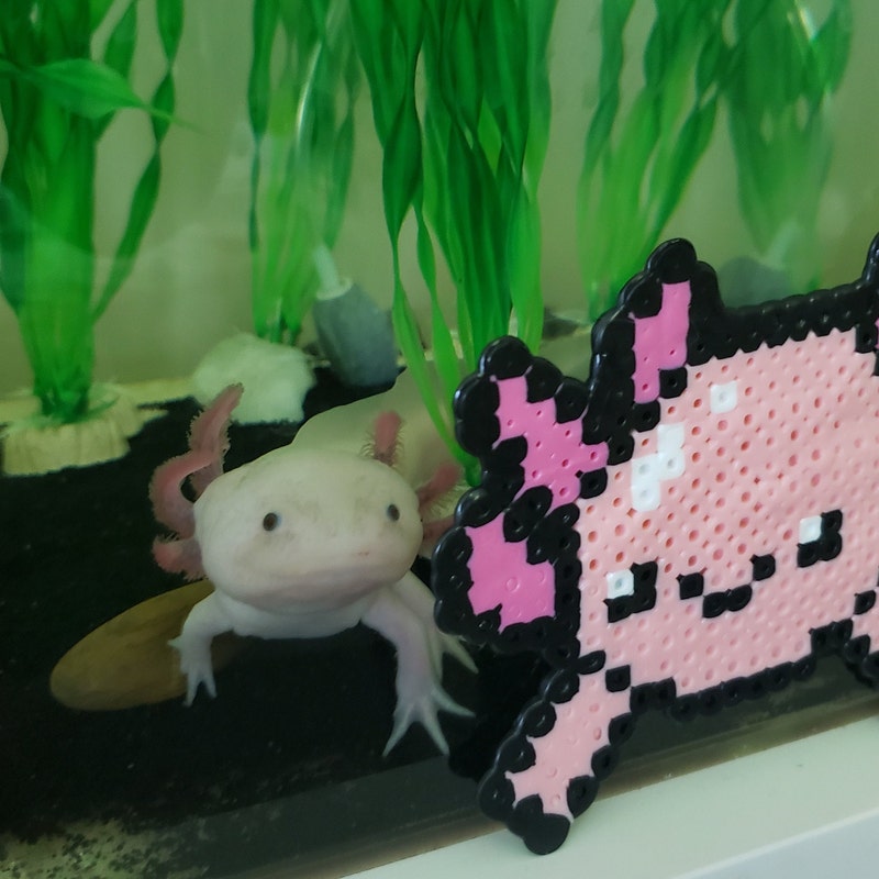 Axolotl Perler Beads - Etsy