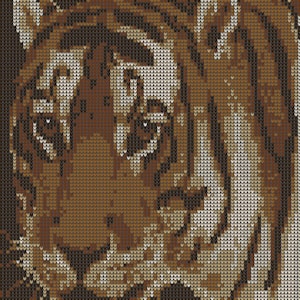 Tiger Square and Knitting Charts - Etsy