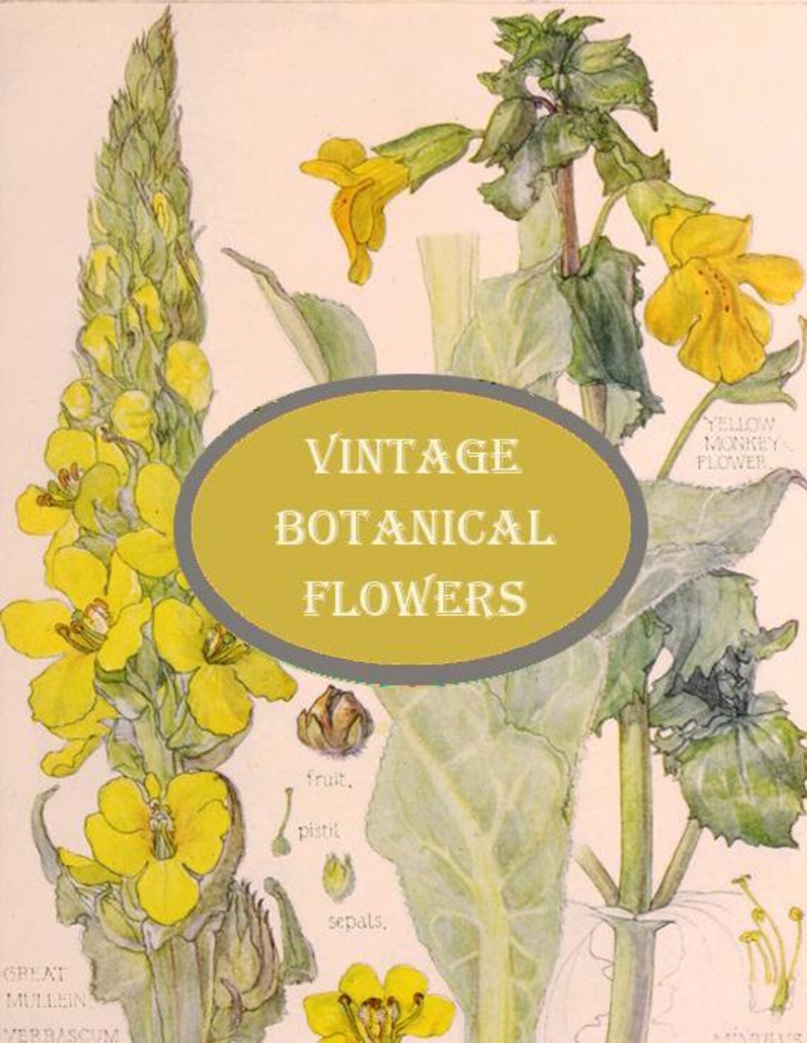 Vintage Botanical Flower Scans: Printable Digital Book (PDF) - Etsy