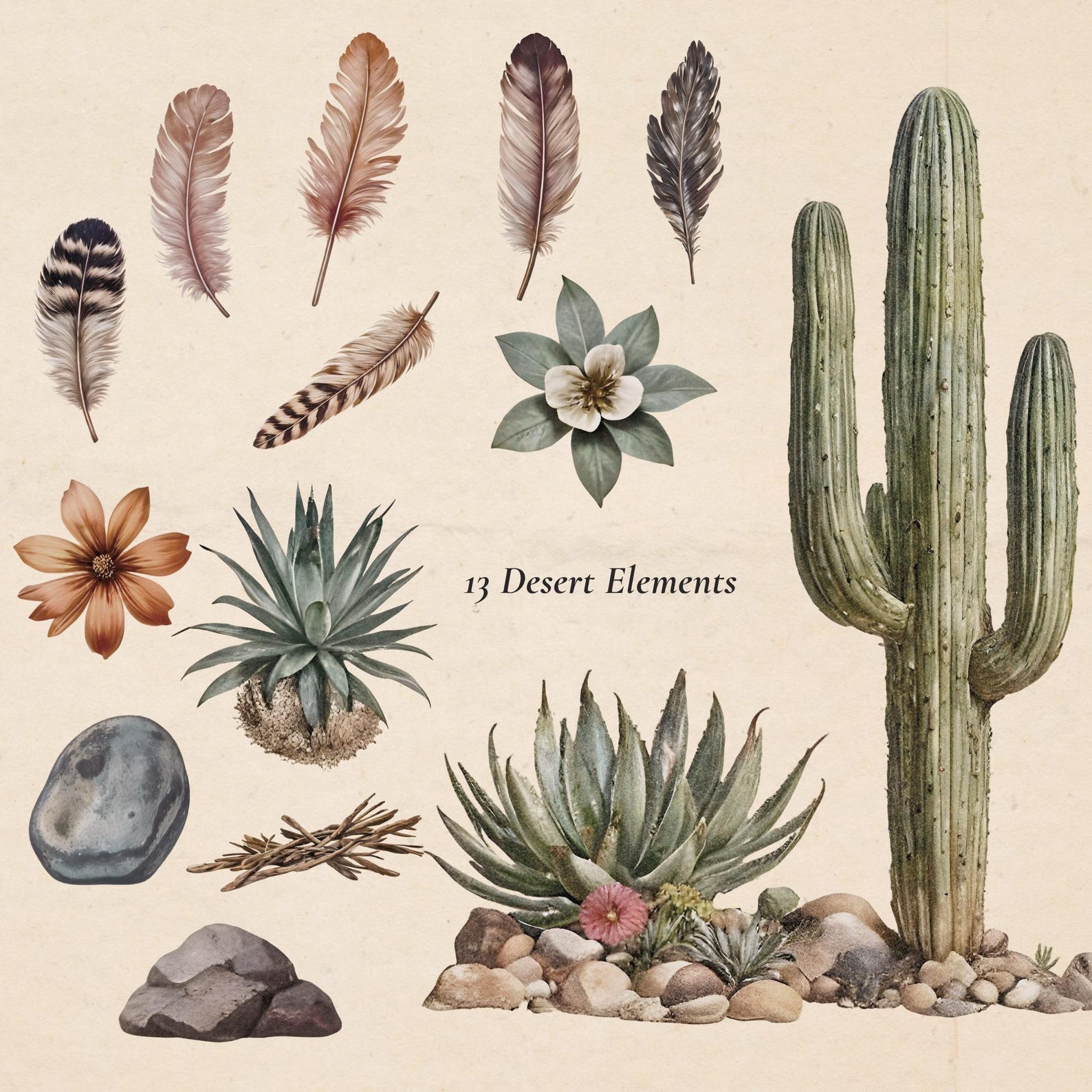 Vintage Desert Animals Clip Art Collection – Fennec Fox, Roadrunner ...