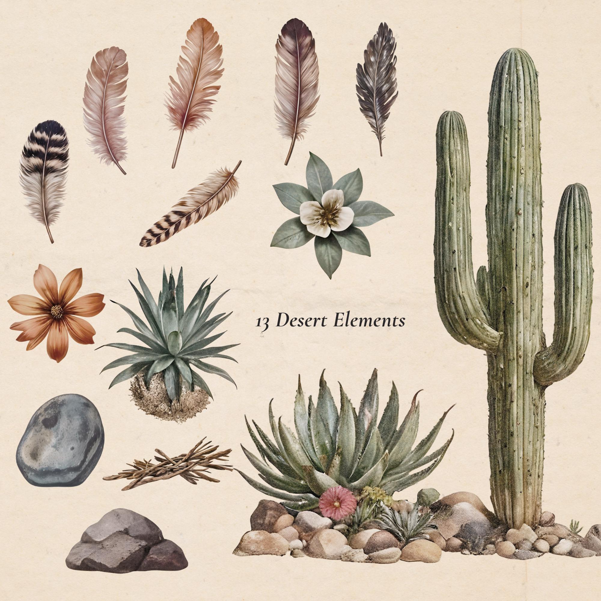 Vintage Desert Animals Clip Art Collection – Fennec Fox, Roadrunner ...