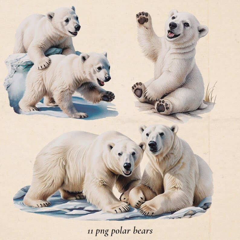 18 Polar Bear Family Clipart, Vintage Arctic PNG, Digital Download ...