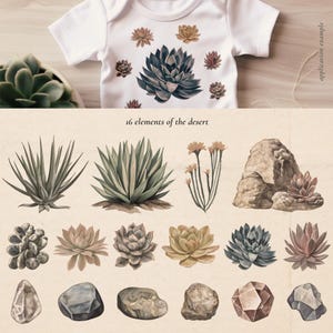 Vintage Desert Plants Clip Art – Cactus, Succulents, Flowers & Rocks ...