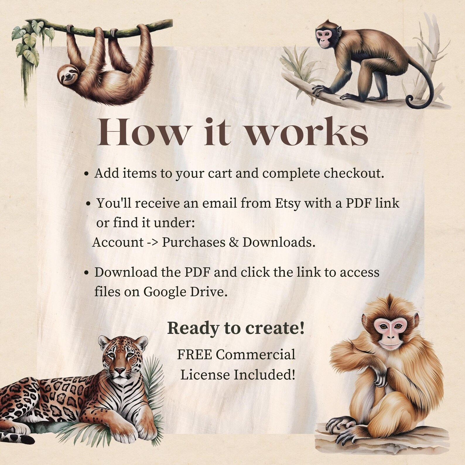 Rainforest Animals Clip Art Set – Jungle, Jaguars, Sloths, Monkeys ...