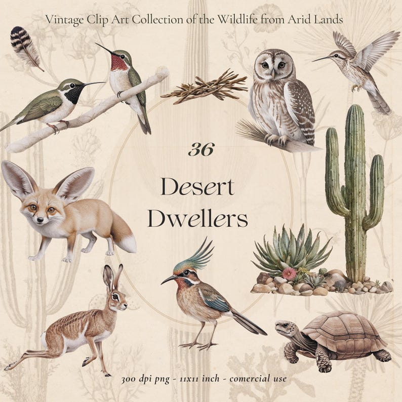 Vintage Desert Animals Clip Art: 36 PNG Elements (commercial Use) - Etsy
