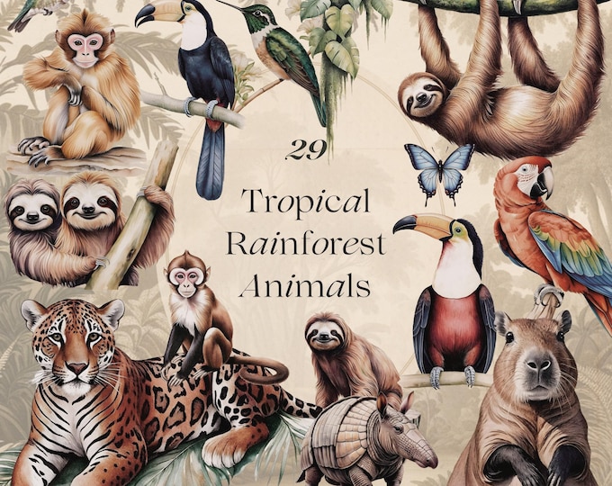 Costa Rica Animals PNG Clip Art, Rainforest Animals Clipart, Sloth ...