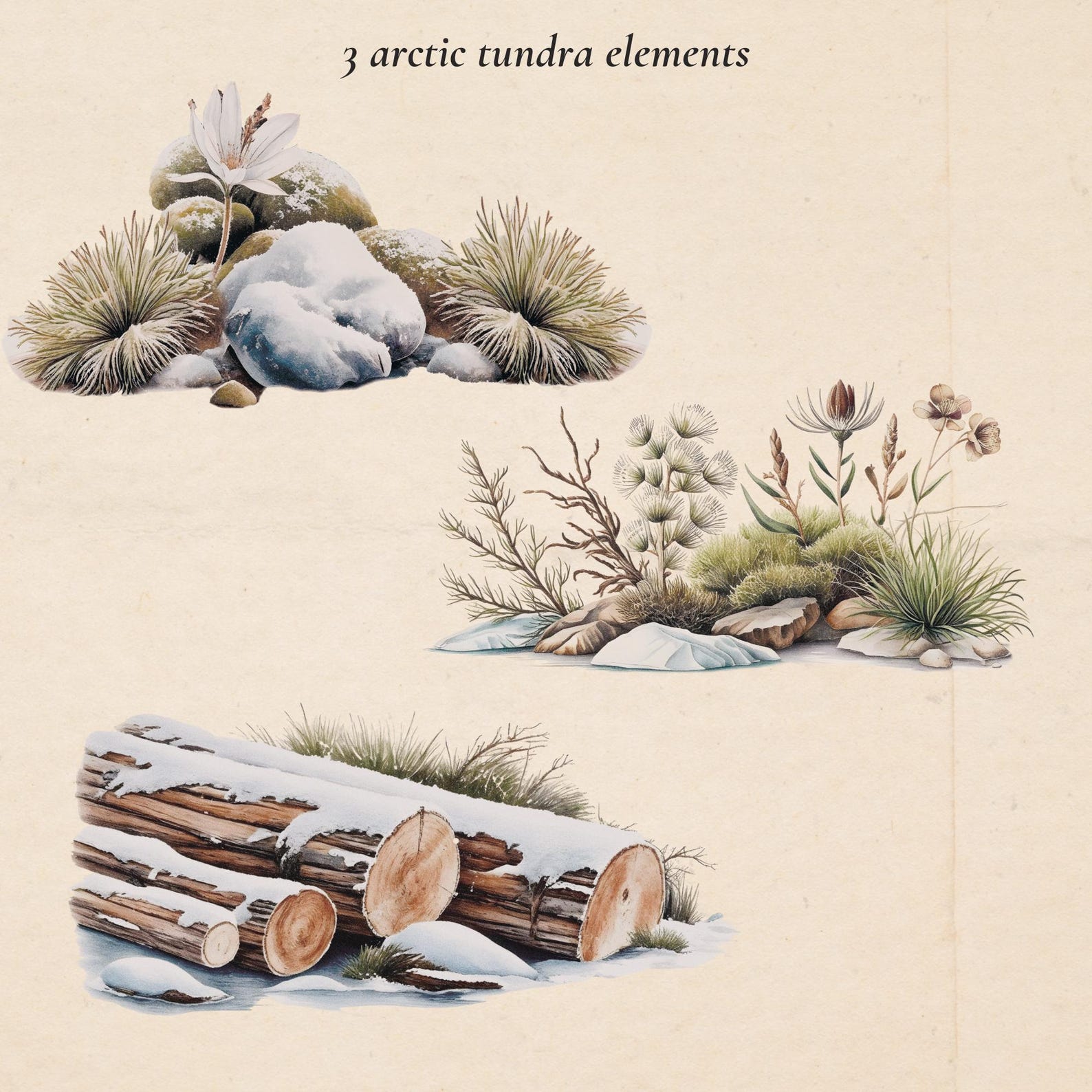 Vintage Arctic Wolf Clipart: Watercolor Tundra Animals (PNG) - Etsy