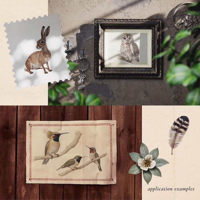 Vintage Desert Animals Clip Art Collection – Fennec Fox, Roadrunner ...