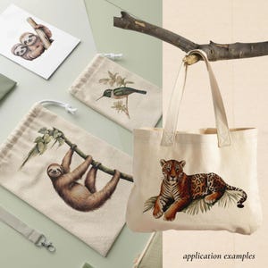 Rainforest Animals Clip Art Set – Jungle, Jaguars, Sloths, Monkeys ...