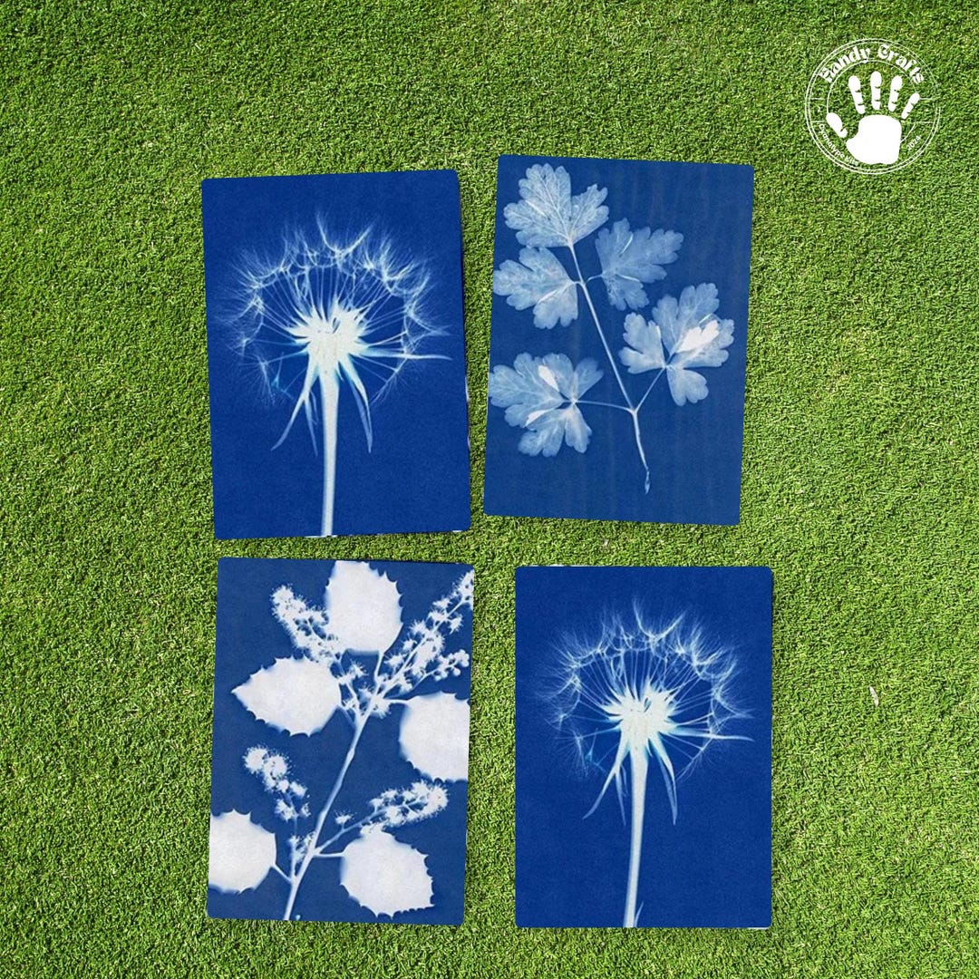 DIY Cyanotype Print Kit, Sun Printing Kit, Cyanotype Art, Solar ...