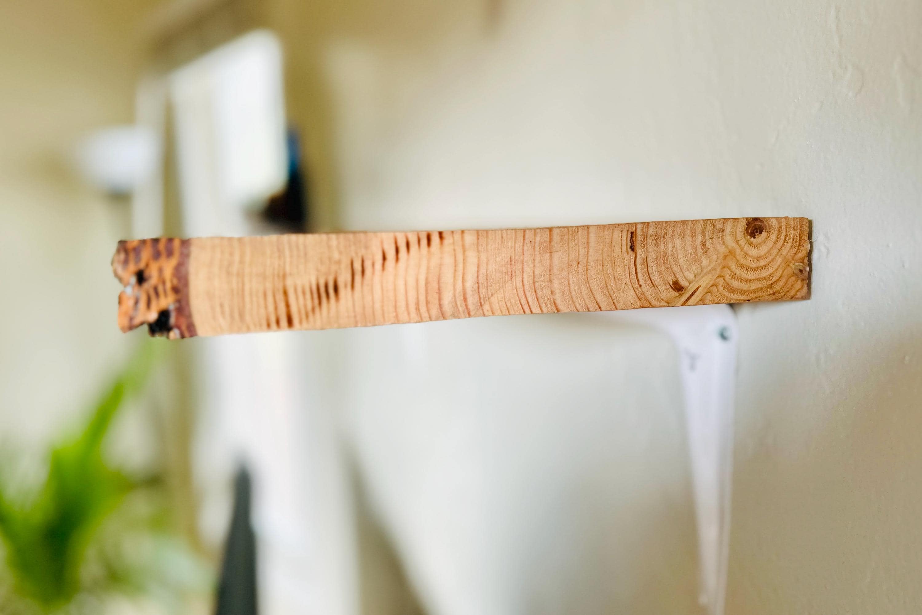 Live Edge Shelf BARK Intact/modern Book Shelves, Home Deco, Wall Decor ...