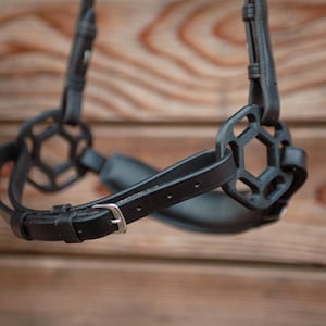 Hackamore Bitless Bridle Noseband Leather - Etsy
