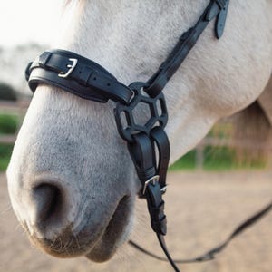 Hackamore Bitless Bridle Noseband Leather - Etsy