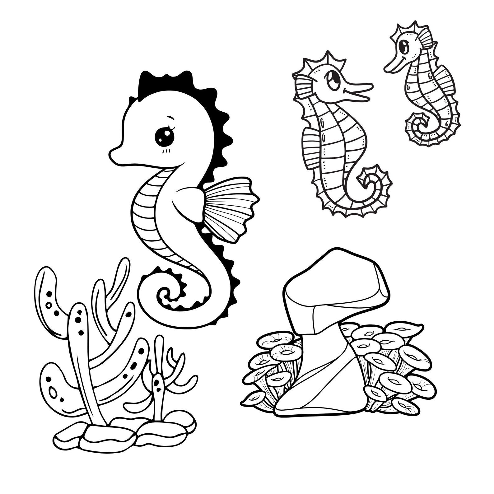 Cute and Educational Sea Animal Coloring Pages - Etsy