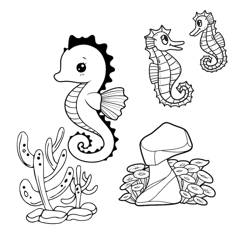 Cute and Educational Sea Animal Coloring Pages - Etsy
