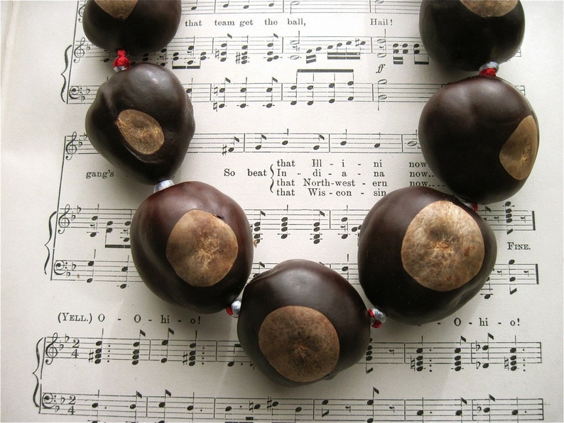 11 Buckeye Necklace - Ohio State University Made Using OHIO Grown ...
