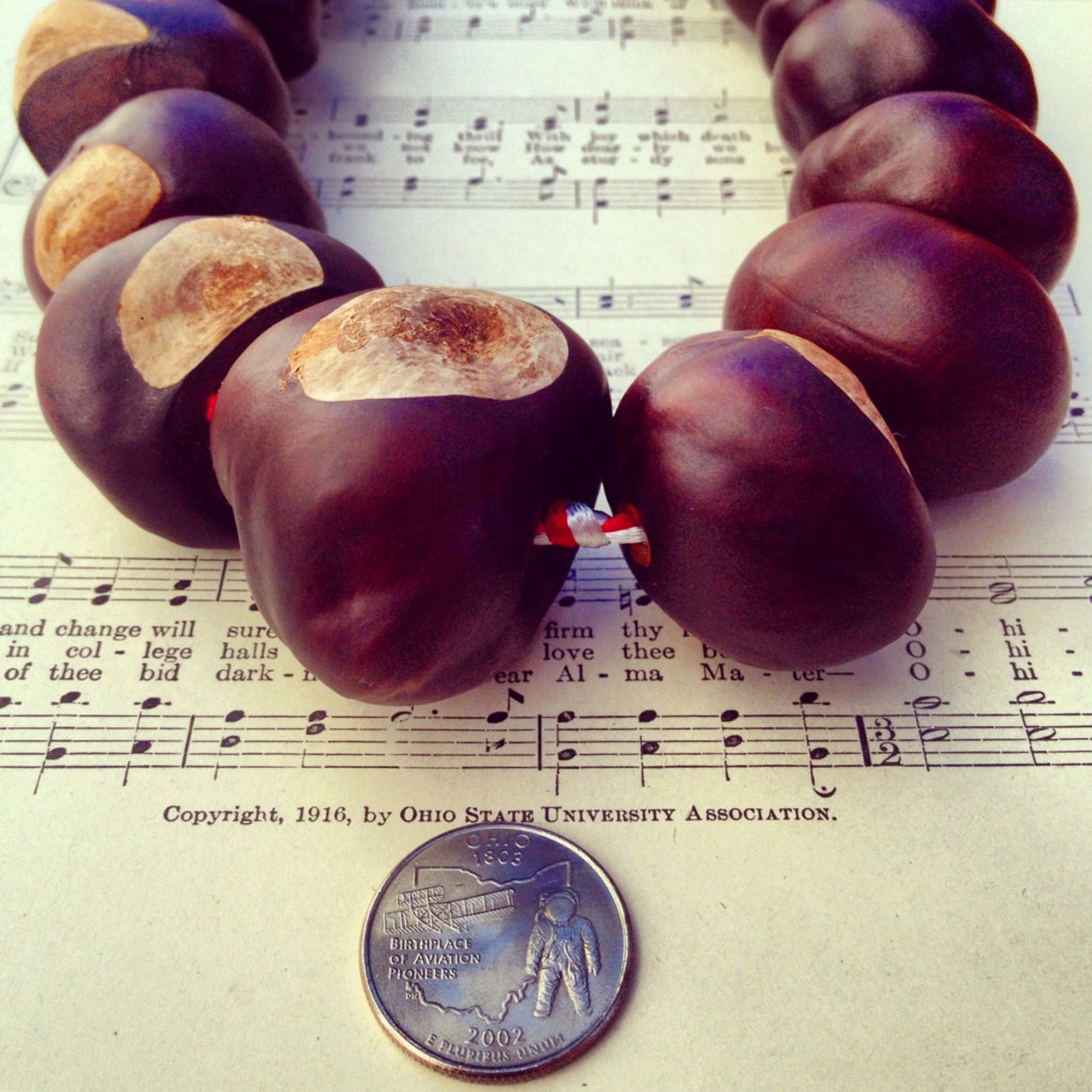 Big Buckeye Necklace - Ohio State University All Natural Buckeye Nuts ...