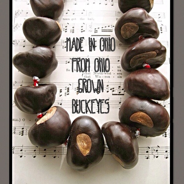 Buckeyes - Etsy