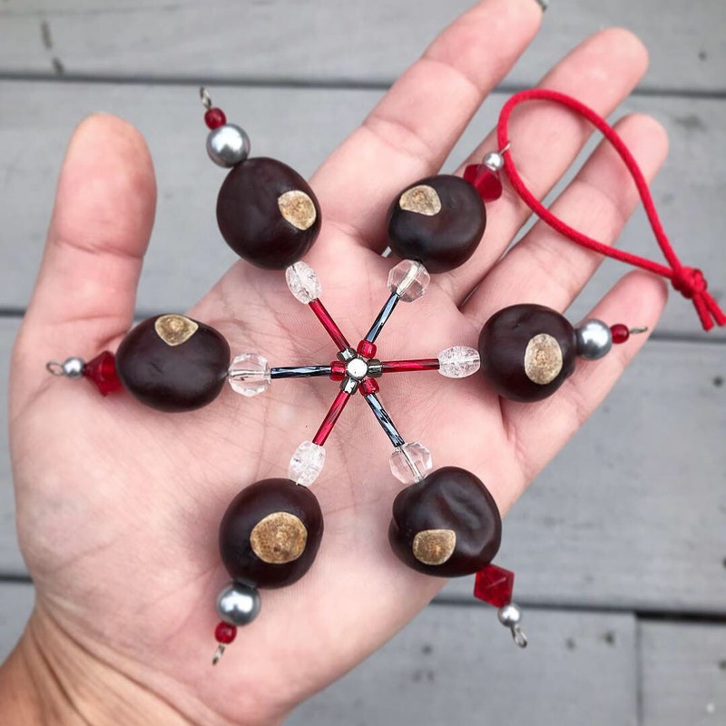 Buckeyes - Etsy