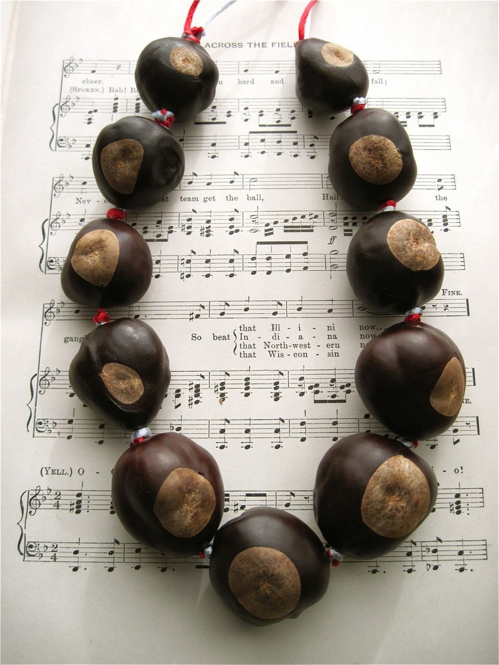 11 Buckeye Necklace - Ohio State University Made Using OHIO Grown ...