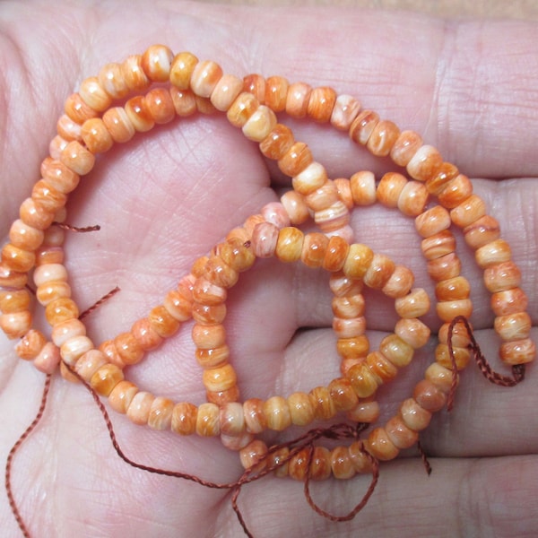 Spiny Oyster Beads - Etsy