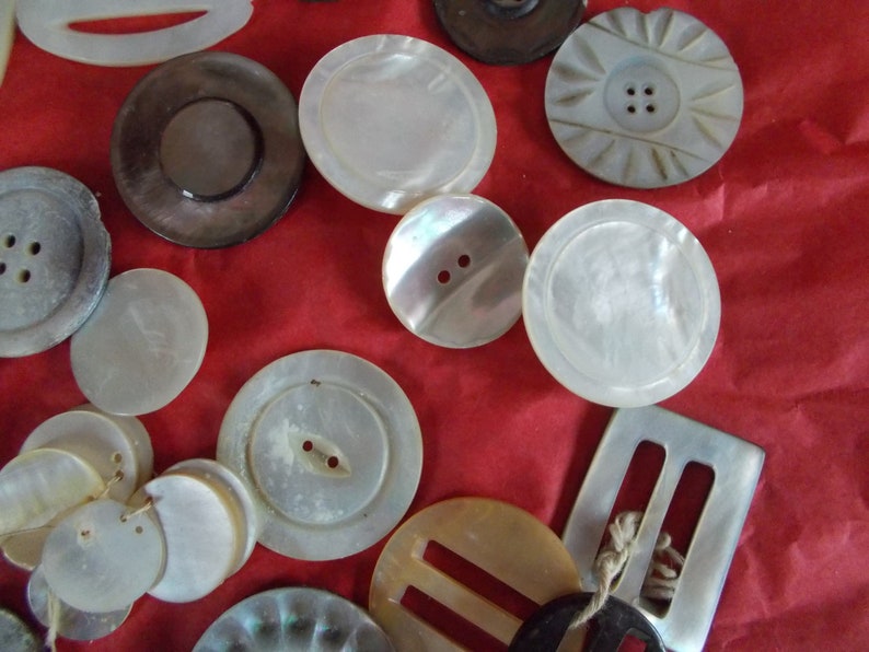 Vintage / Antique Seashell Buttons and Buckles for Crafts Lot - Etsy