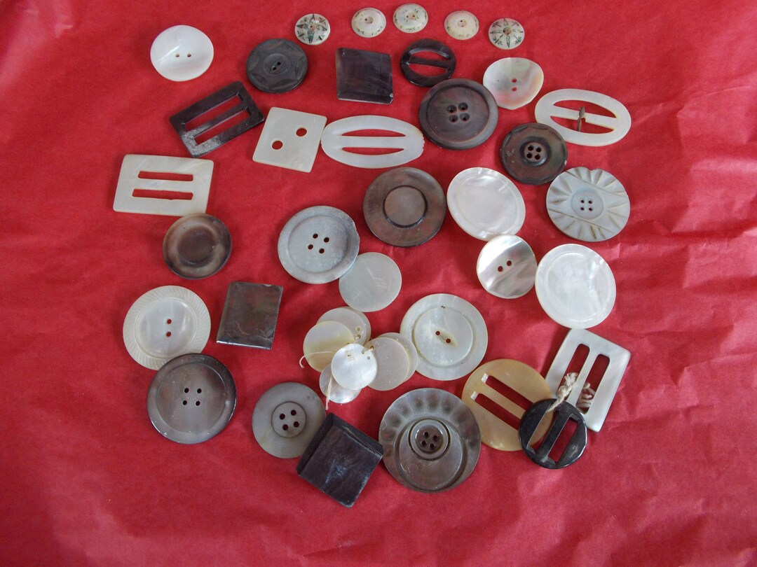 Vintage / Antique Seashell Buttons and Buckles for Crafts Lot - Etsy