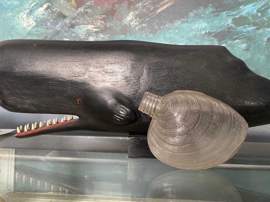 Antique Clamshell Shaped Flask Circa 1908 - Etsy